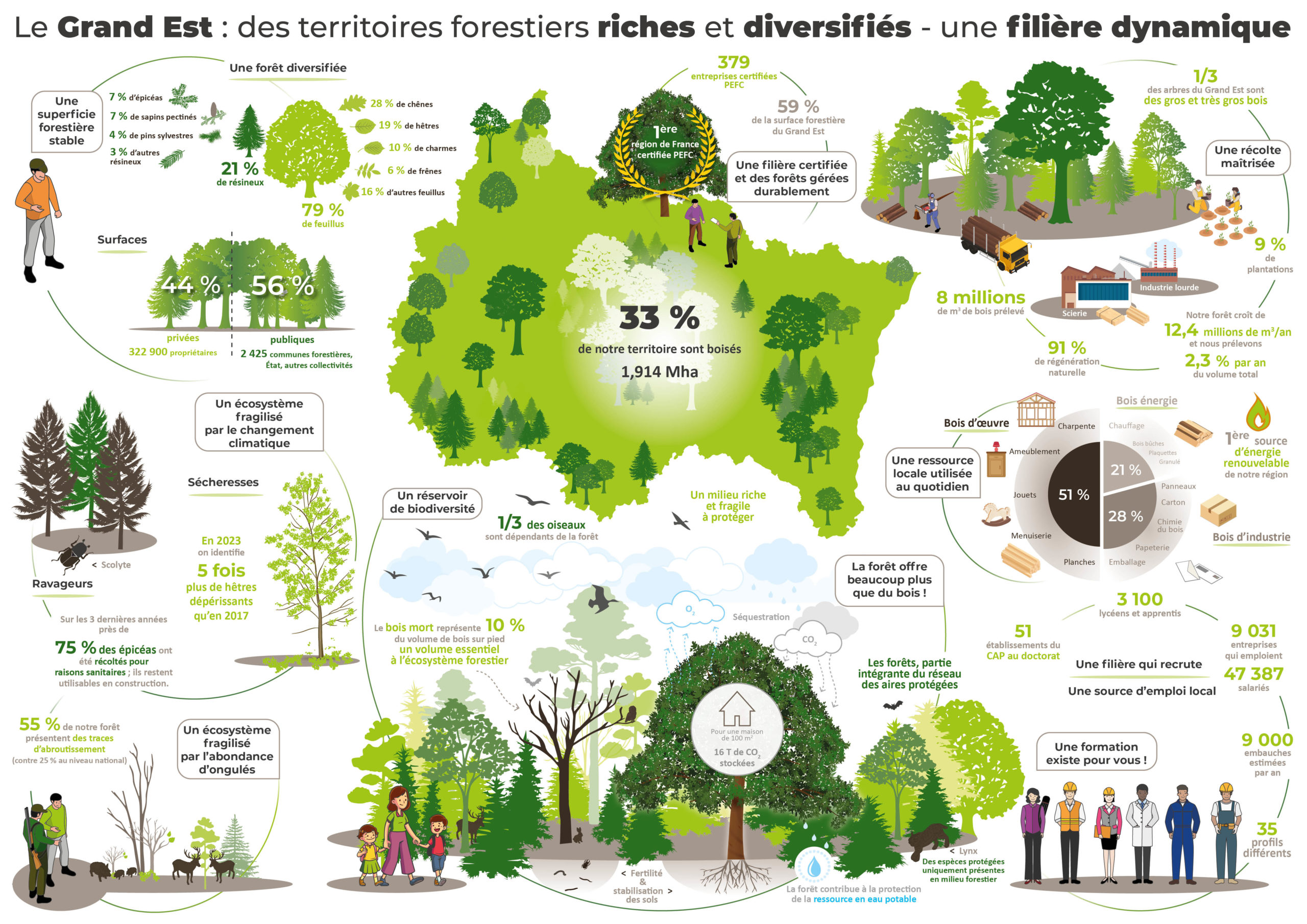 Fibois Grand Est - Filière Forêt-Bois du Grand Est : en cartes et en ...